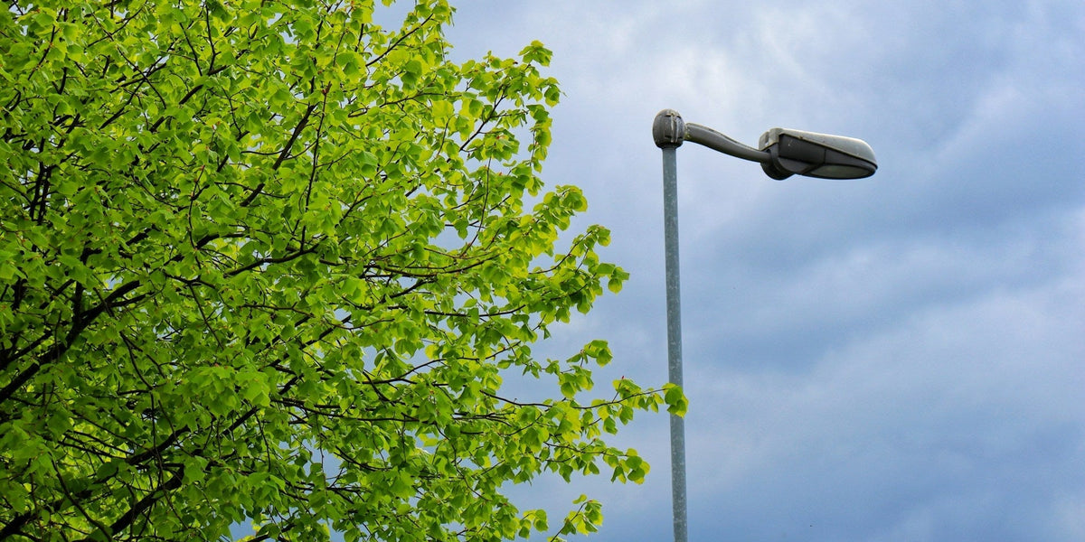 Why My Solar Light Is Not Working: Common Issues and Fixes — True ...