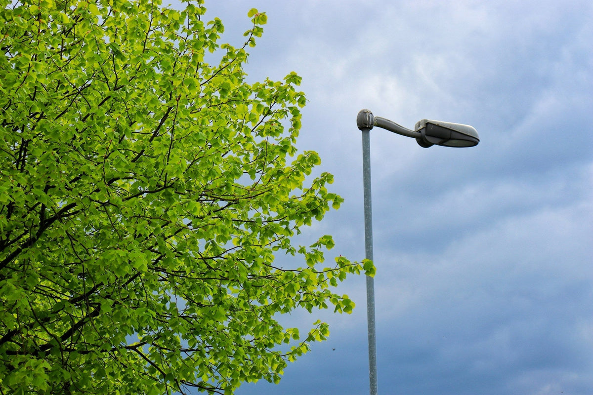 Why My Solar Light Is Not Working: Common Issues and Fixes — True ...