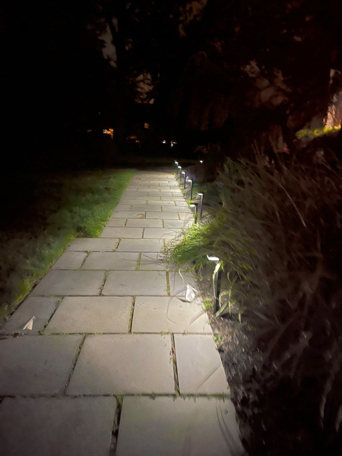 True Lumens™ | Commercial Grade Outdoor Solar Lighting Solutions